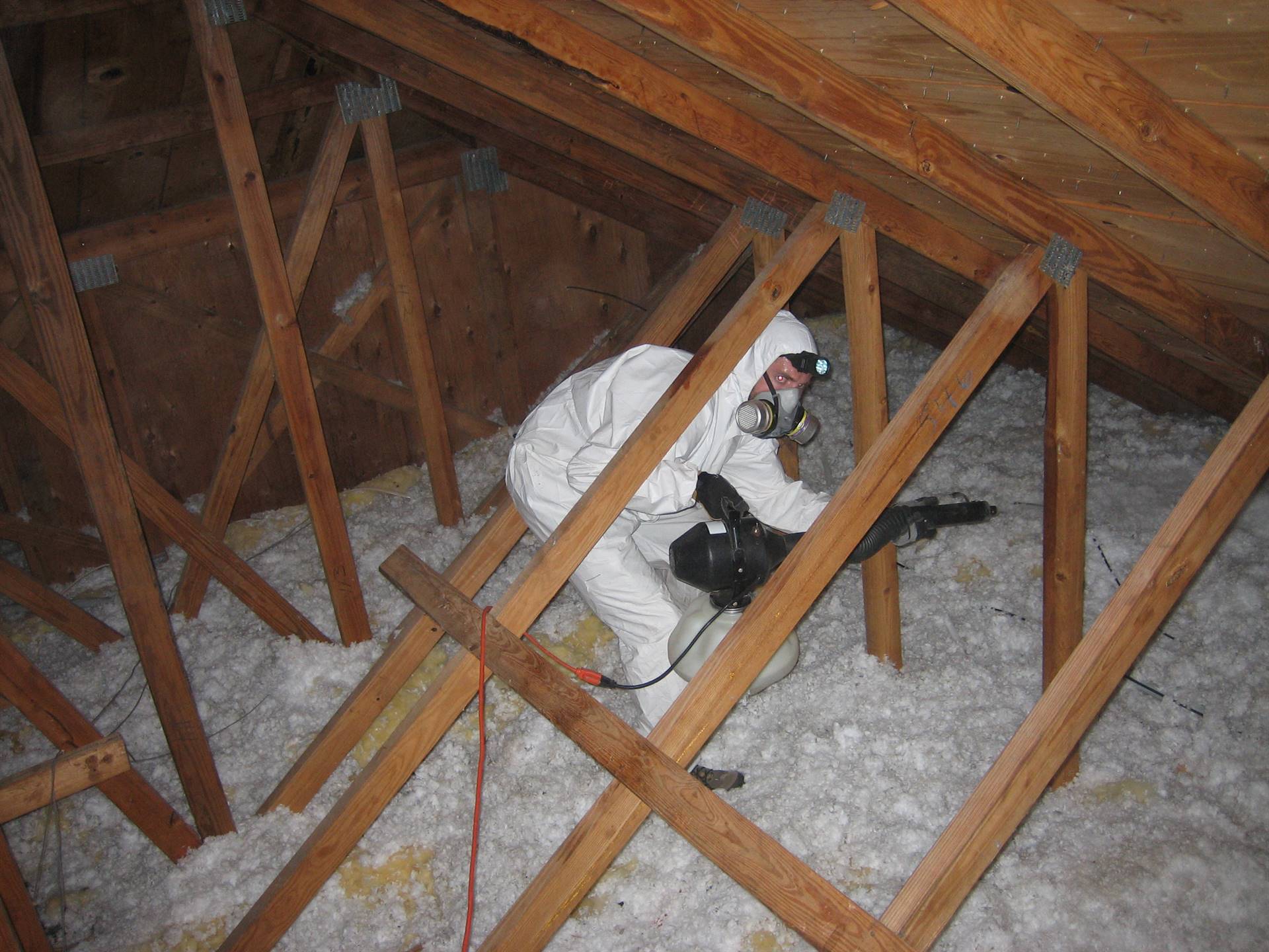 Decontamination and Odor Removal – Fur & Feathers Wildlife Control